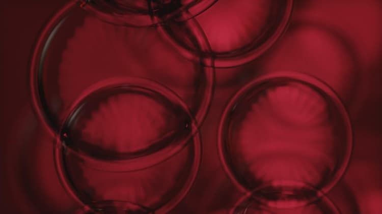 Healthspan | Longevity Care Backed by Science